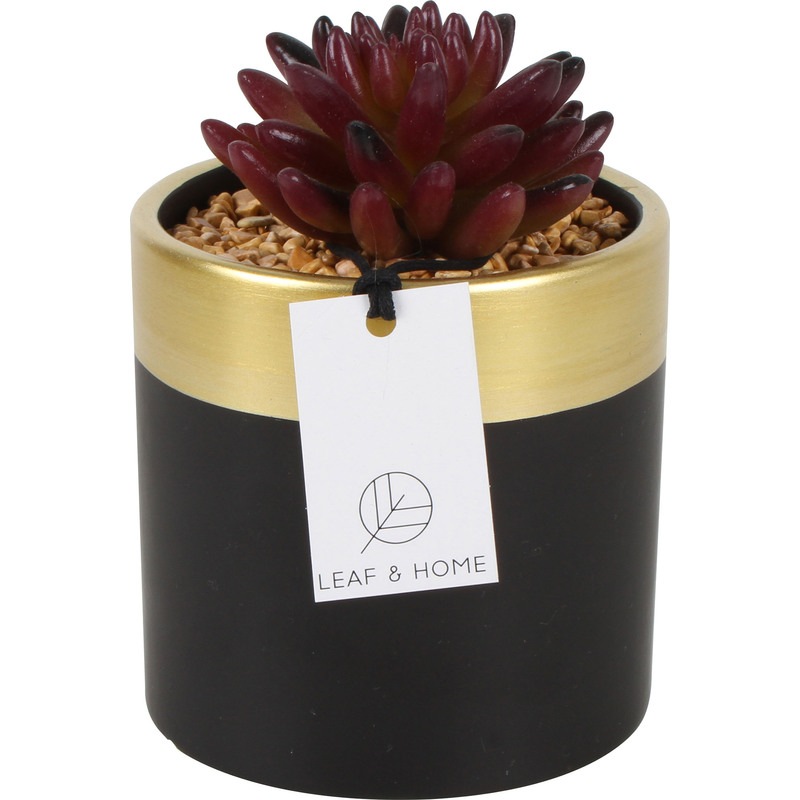 Buy Black Gold Ceramic Planter with Plant - MyDeal