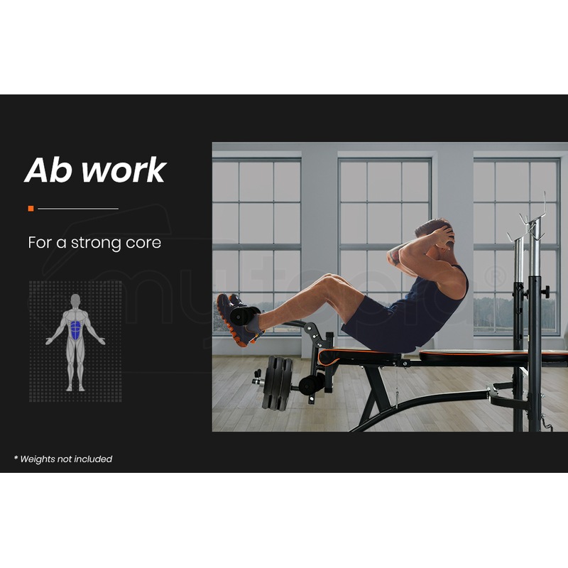 PROFLEX Weight Bench Workout Gym Press Adjustable Home Lifting Fitness ...