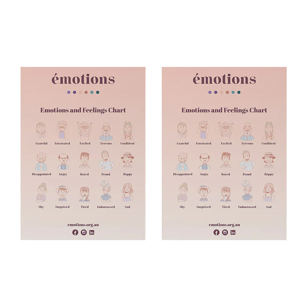 Buy 2PK Emotions Kids/Childrens Emotions & Feelings Educational ...