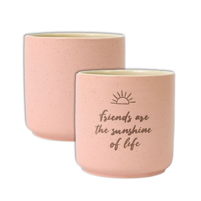 Buy 2PK Sunshine 10x10cm Positive Affirmations Ceramic Planter Pot w ...