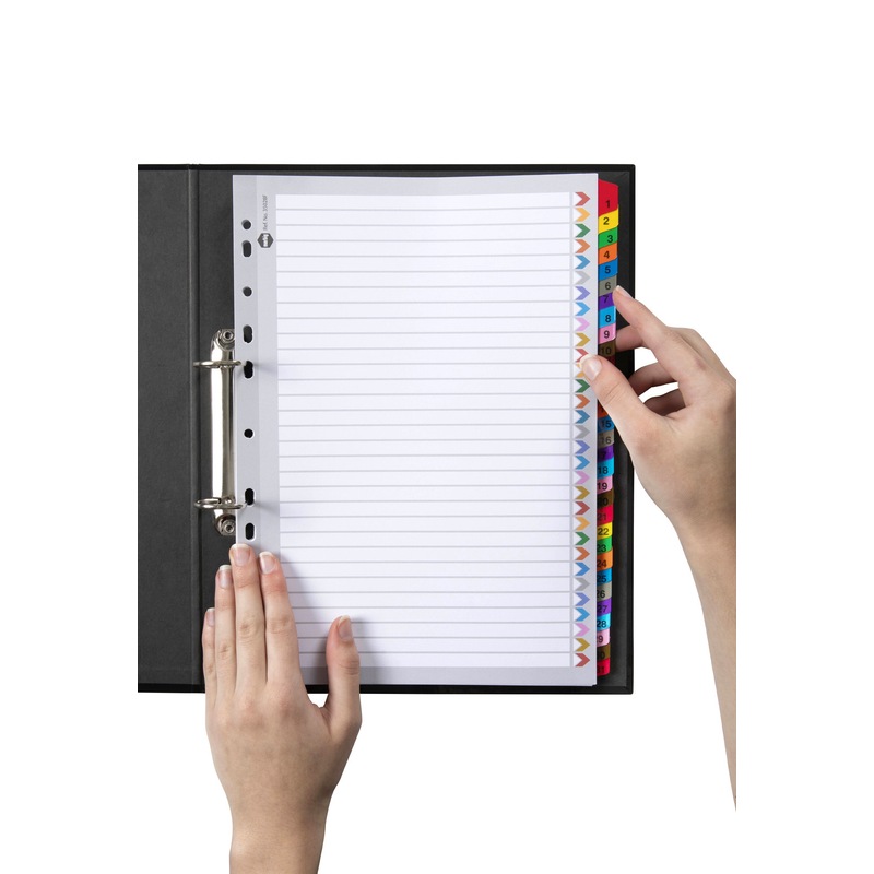 Buy 2x Marbig 1-31 Tab Coloured A4 Ring Binder Plastic Divider File ...