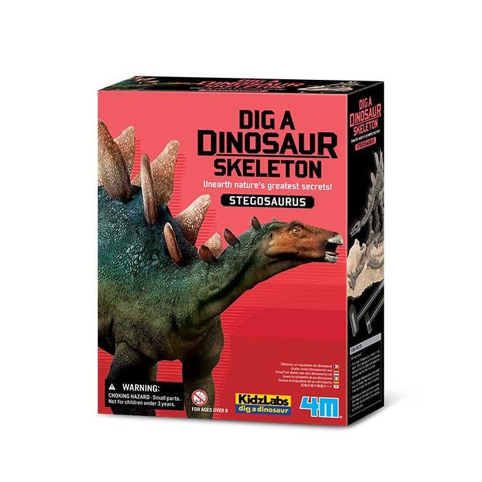 Buy 4M KidzLabs Dig a Dinosaur Stegosaurus Hidden Skeleton Kids ...