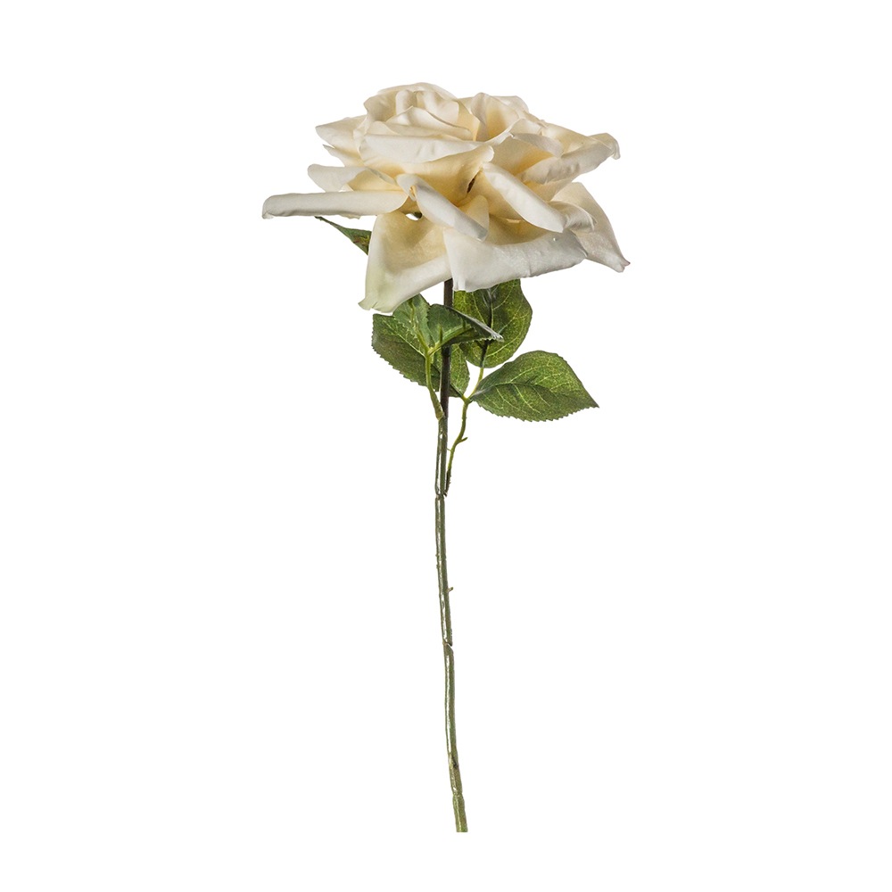 Buy 5PK Hudson Living 39cm Rose Polyantha Stem Floral Home Room Flower ...