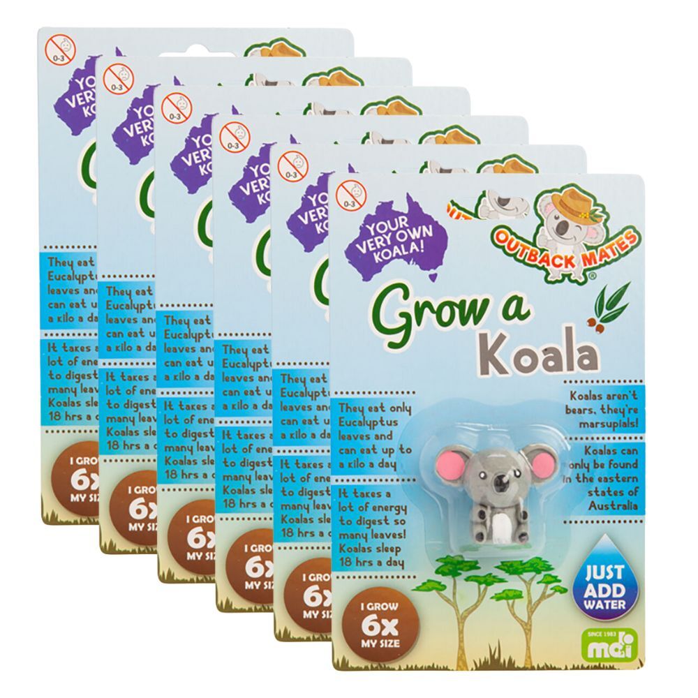 Buy 6PK Outback Mates Grow a Koala Kids/Children Activity Fun Play ...