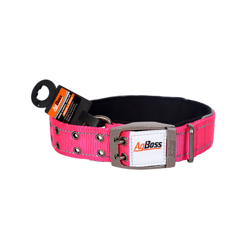 Buy AgBoss Working Farm Pet Dog Collar Reflective Hot Pink 0.04x60cm 24 ...