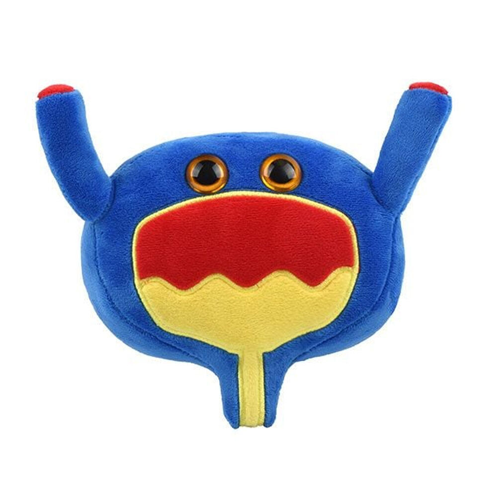 Buy Giant Microbes Bladder Organ Educational Stuffed Soft Science Plush ...