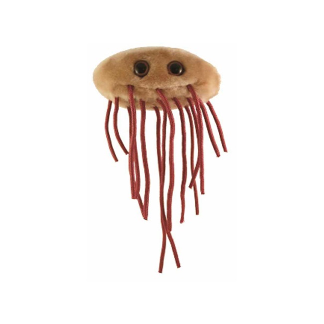 Buy Giant Microbes Escherichia Coli Bacteria Human Biology Plush ...