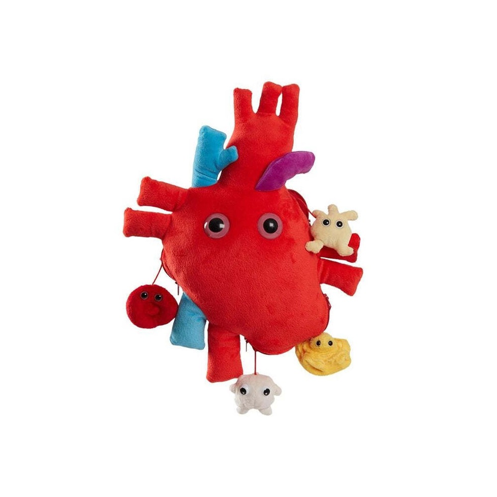 Buy Giant Microbes XL Heart Organ Human Biology Soft Plush Cuddle ...