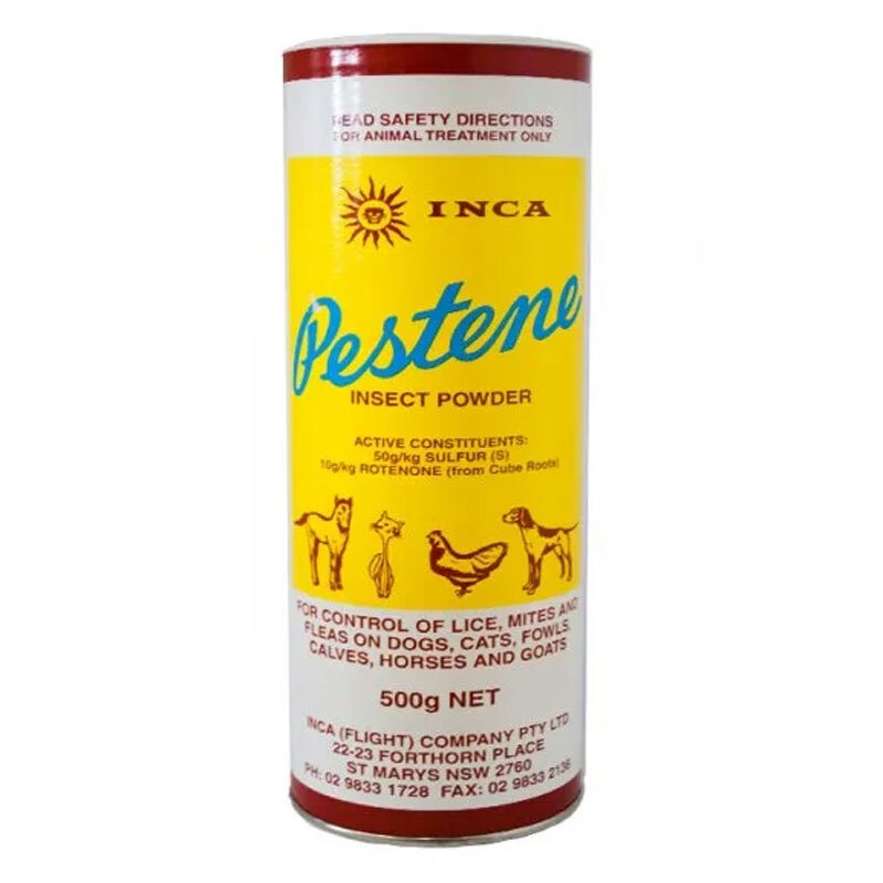 Buy Inca Pestene 500g Insect Powder Control Lice/Mites/Fleas Dogs/Cats ...