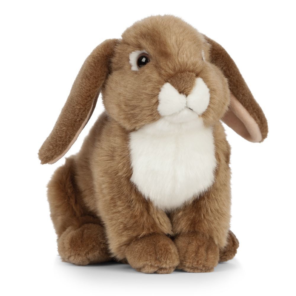 Buy Living Nature French Lop Eared 26.5cm Rabbit Animal Plush Kids Soft ...