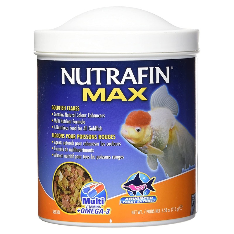 Buy Nutrafin Max Goldfish/Koi Aquarium Mulit Nutrient Formula Fish Food ...