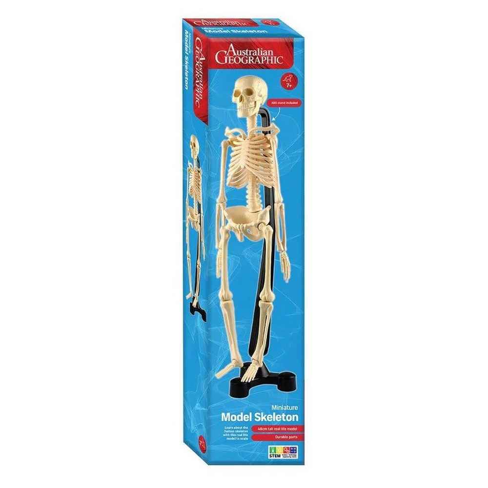 Buy Australian Geographic Miniature Model Skeleton - MyDeal Australia