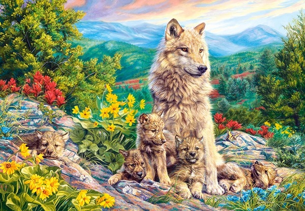 Buy Castorland - New Generation Puzzle 1000pc - MyDeal Australia