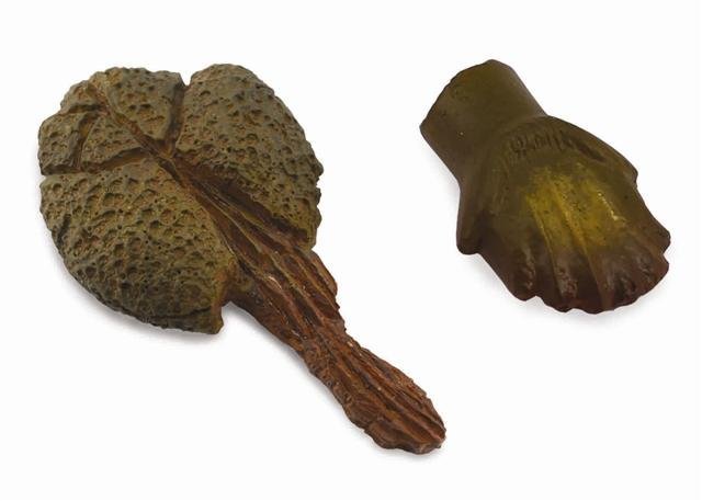 Buy Collecta - Ankylosaurus - Tooth & Tail Club 89287 - MyDeal Australia