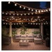 32M LED String Lights Weatherproof Outdoor Festoon Bulbs with 31 Bulbs ...