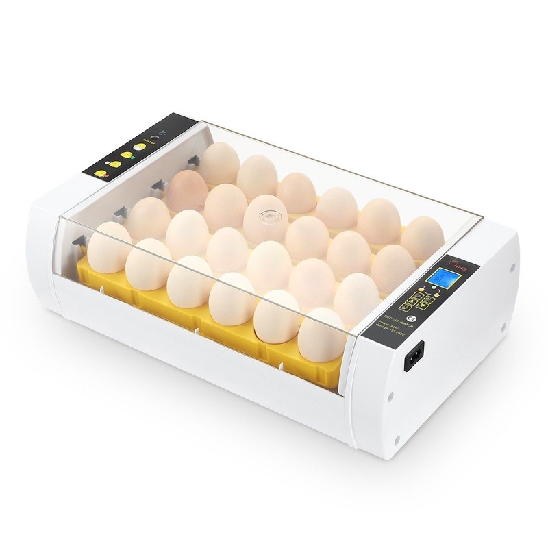 Buy Automatic 24 Egg Incubator Digital Hatching Chicken Pigeon Quail ...