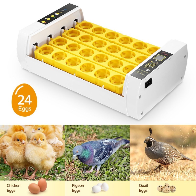 Buy Automatic 24 Egg Incubator Digital Hatching Chicken Pigeon Quail ...