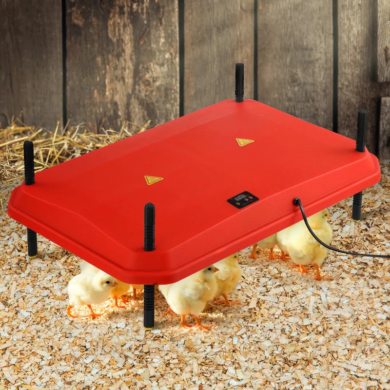 Buy Chick Brooder Heating Plate Warmer Chicken Coop Brooding Heater ...