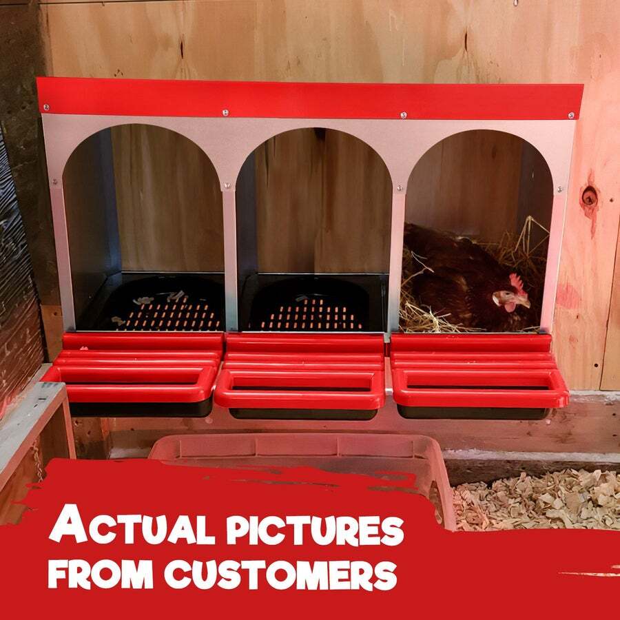 Buy 3 Hole Chicken Nesting Box Hen Roll Away Laying Boxes Chook Nest ...