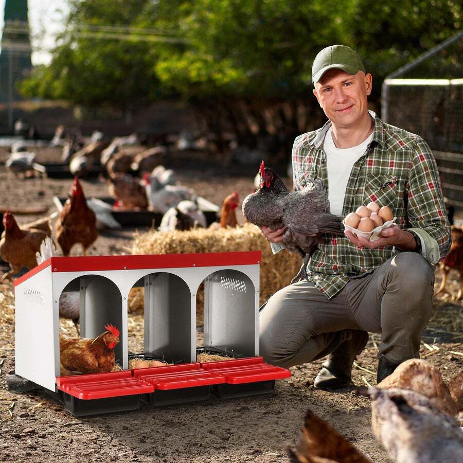 Buy 3 Hole Chicken Nesting Box Hen Roll Away Laying Boxes Chook Nest ...