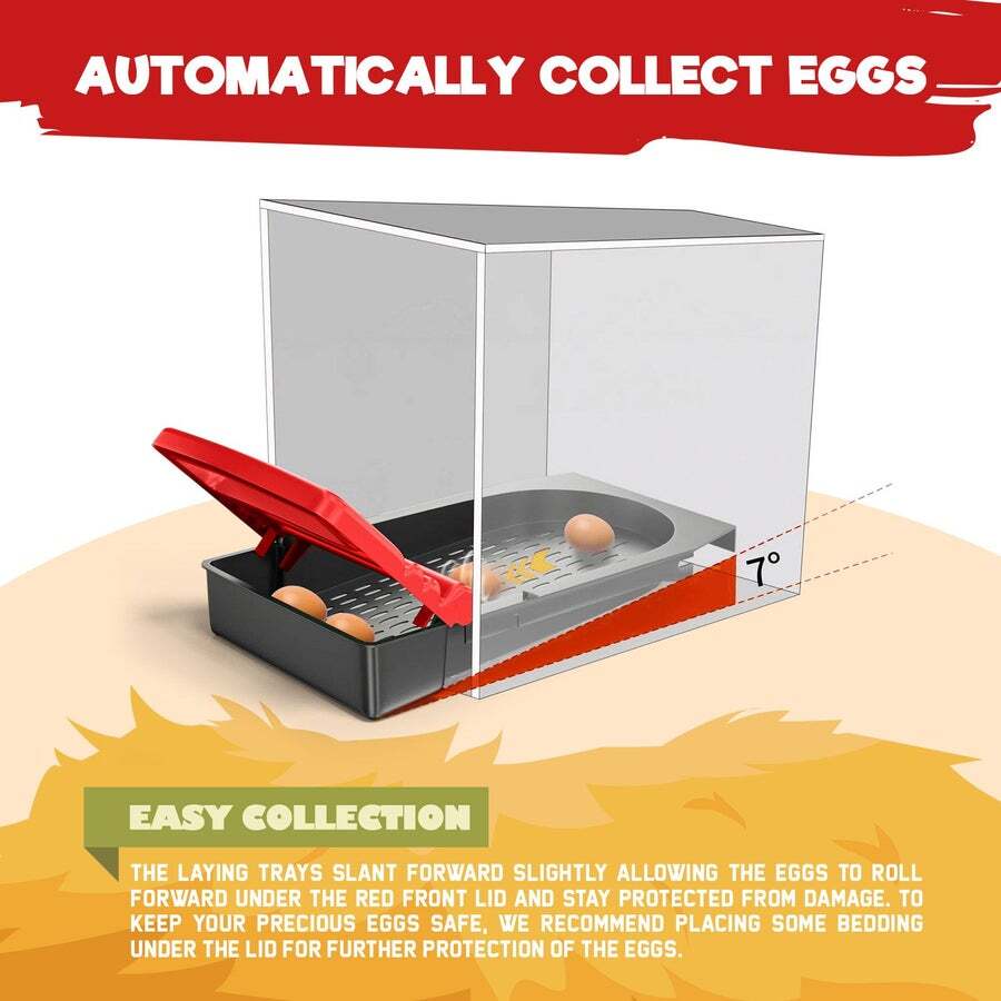 Buy 3 Hole Chicken Nesting Box Hen Roll Away Laying Boxes Chook Nest ...
