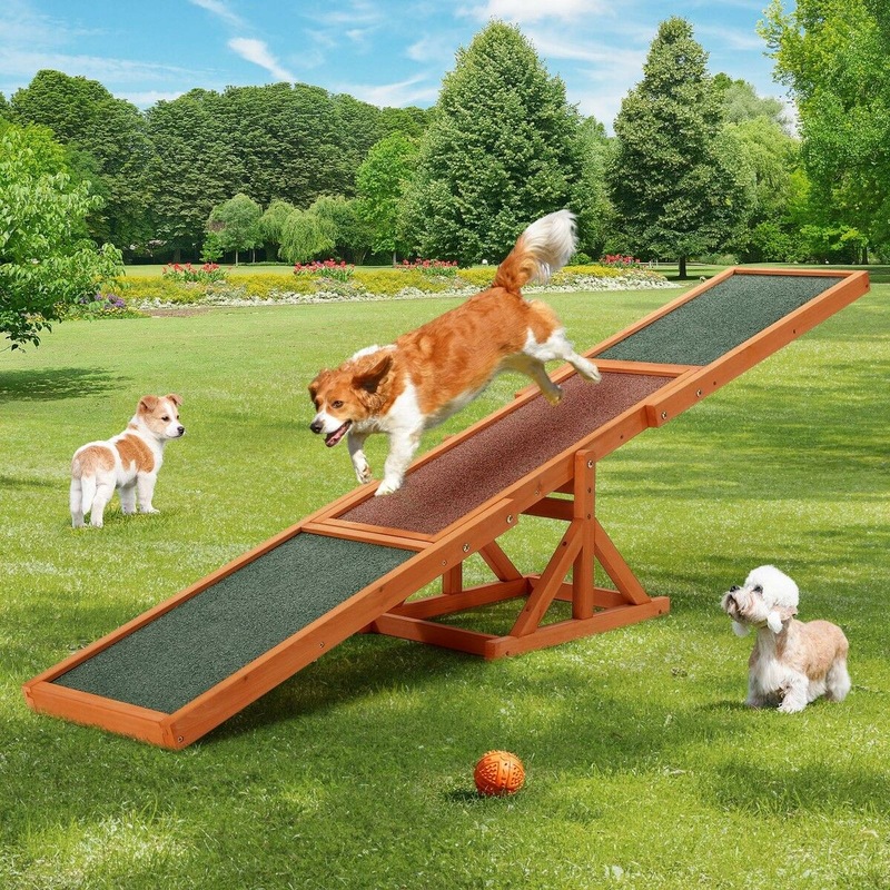 Buy Petscene Pet Seesaw Dog Obedience Training Puppy Sports Agility ...