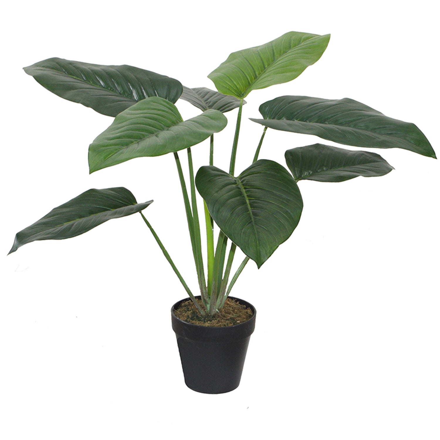 Buy Willow & Silk Artificial Elephant Ear Philodendron in Pot - MyDeal ...