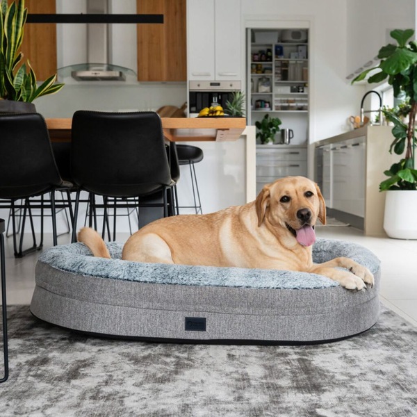 Buy Orthopaedic Memory Rest Dog Bed, Artic Faux Fur - MyDeal Australia