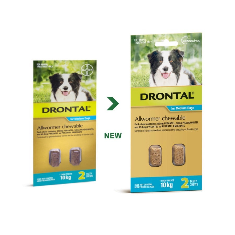 Buy Drontal Allwormer Chews for Medium Dogs - MyDeal Australia