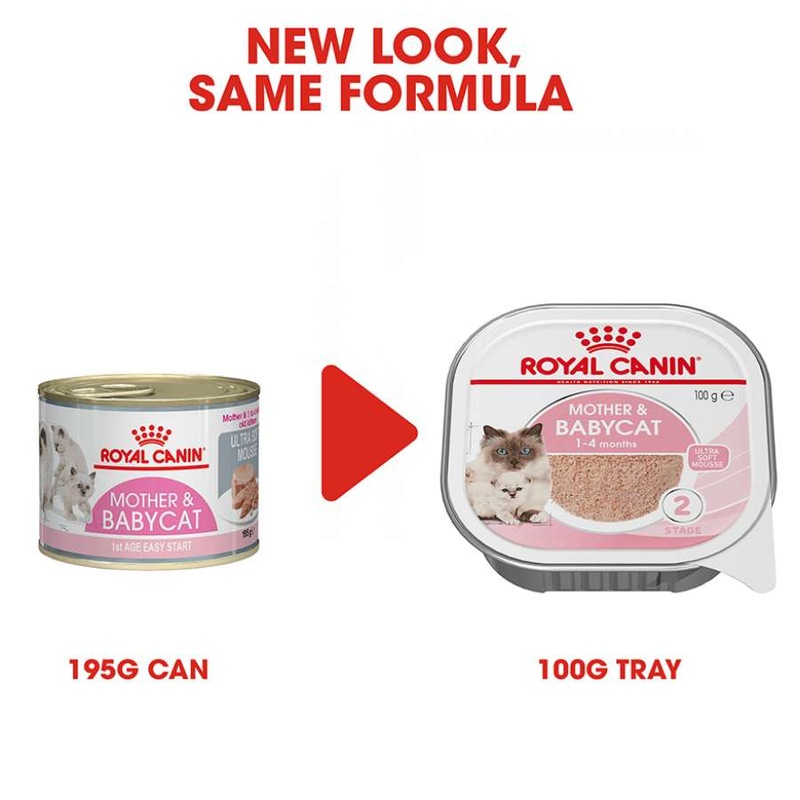Buy Royal Canin Mother and Baby Cat - MyDeal