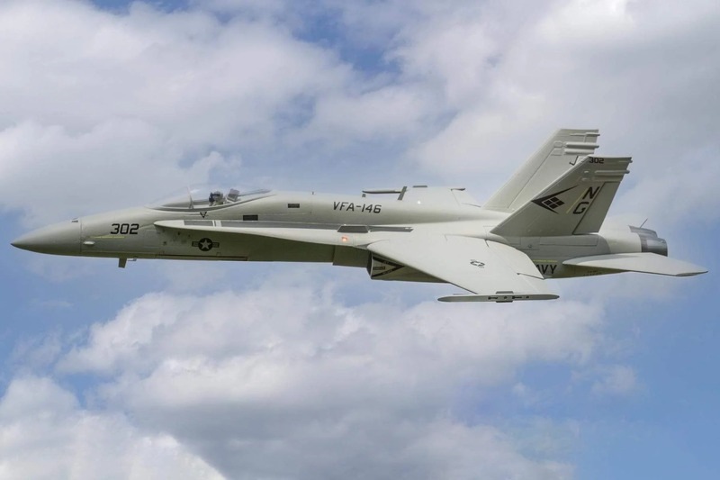 Buy Freewing F18 F/A-18C Hornet Gray Diamonds High Performance 90mm EDF ...