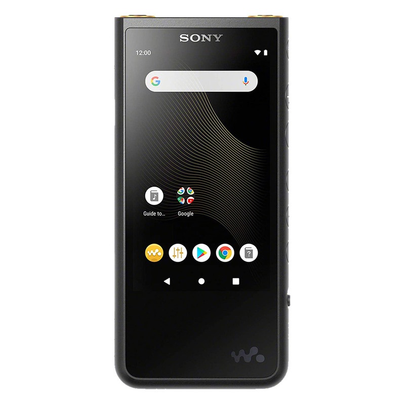 Buy Sony Premium 64GB Walkman Hi-Res Digital Audio Player NWZX507B ...