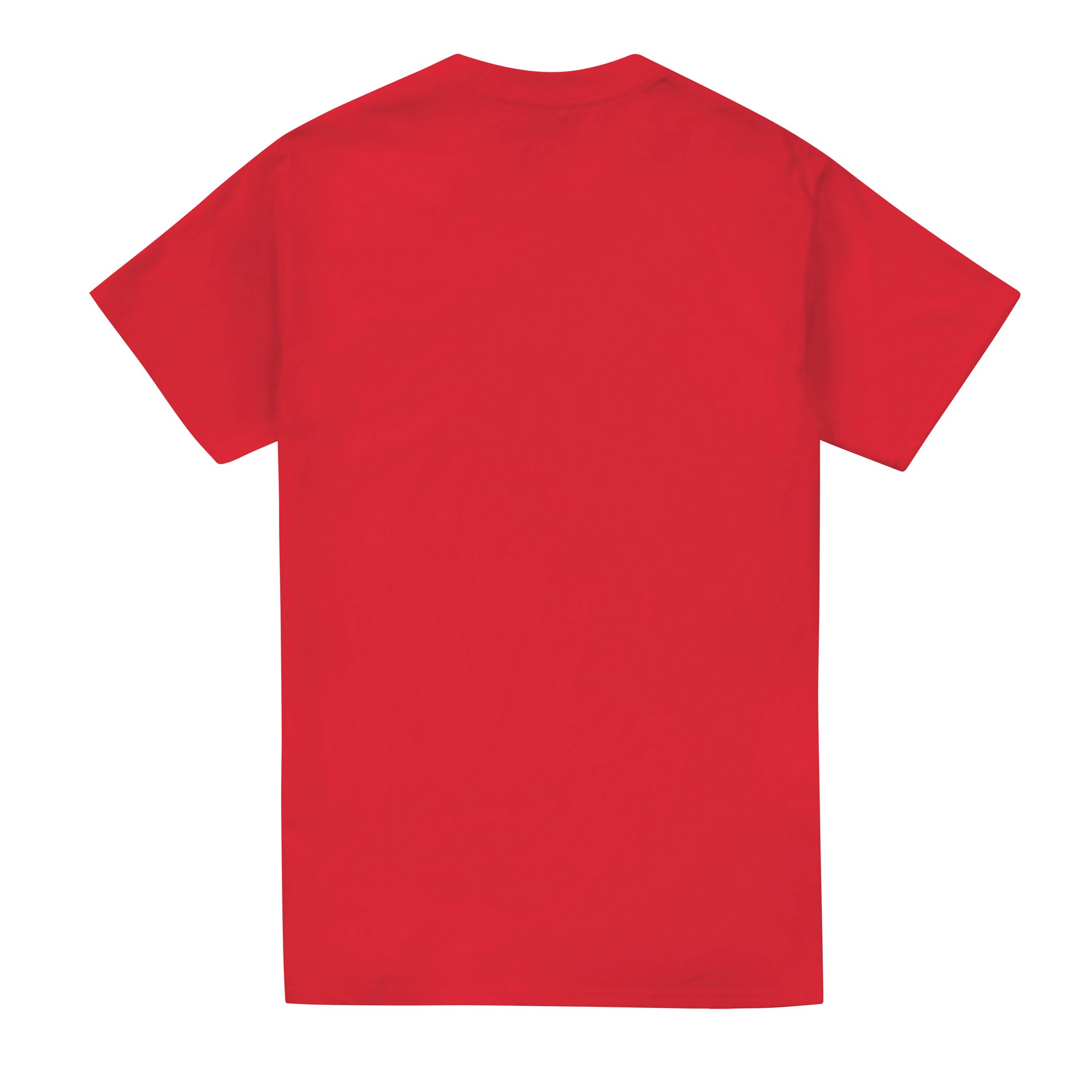 Buy Batman Mens Robin Retro Logo T-Shirt - MyDeal Australia