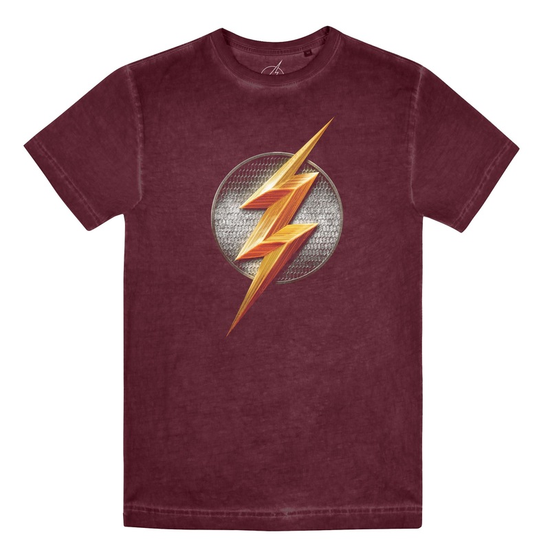 Buy The Flash Mens Brushed Logo T-Shirt - MyDeal
