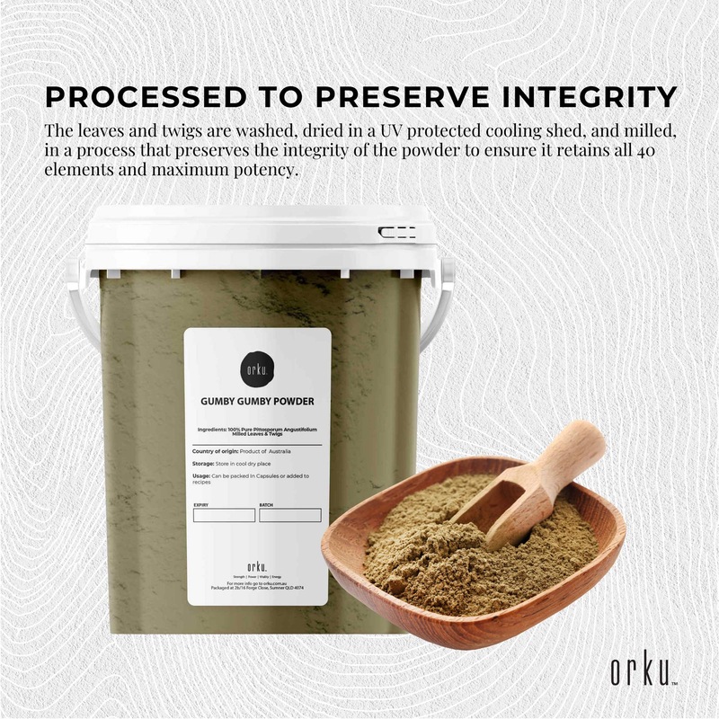 Buy Gumby Gumby Powder Pure Tub - Gumbi Aboriginal Plant Pittosporum ...