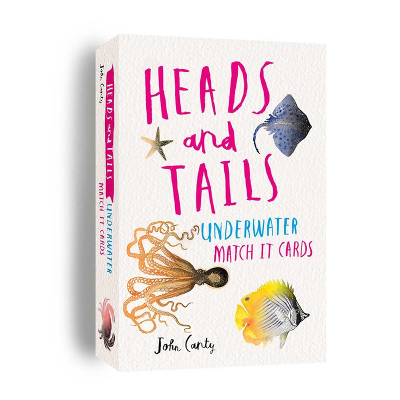 Buy Heads and Tails: Underwater Match-It Cards - MyDeal