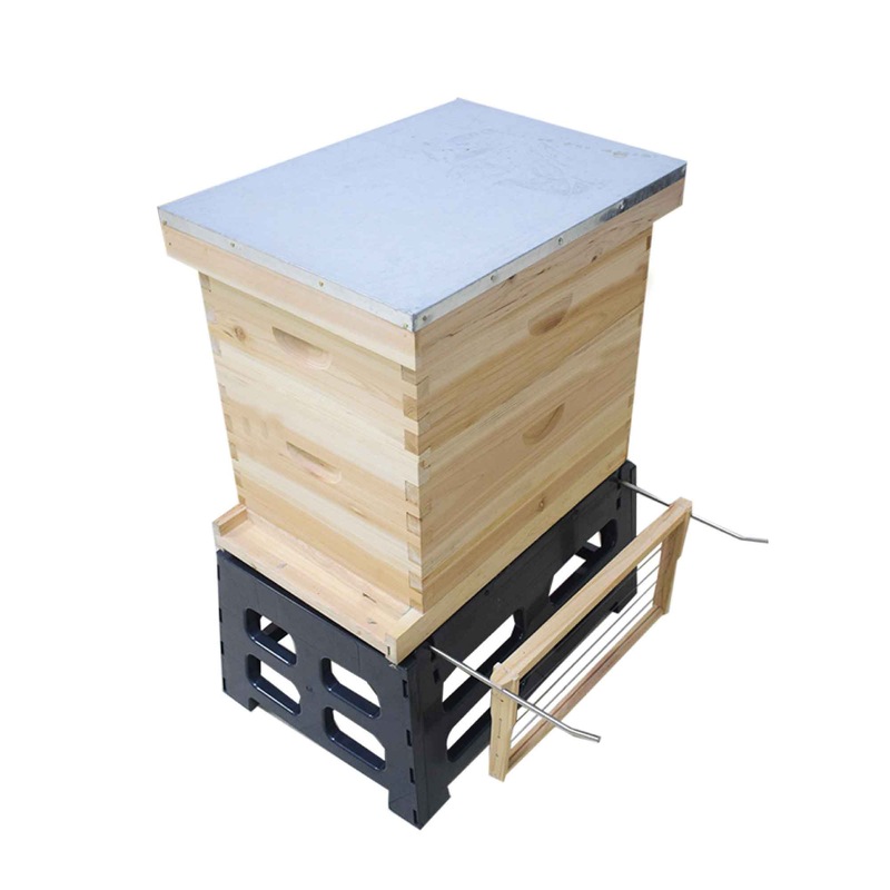 Buy Plastic Beehive Stand 8 Frame Langstroth Bee Hive Base Ant Tool ...