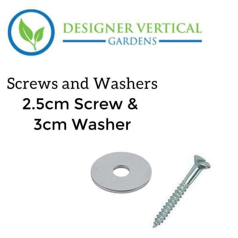 Buy 2.5cm Screw and 3cm Washer Kit (Timber and Plaster) (25 or 100 Pack ...