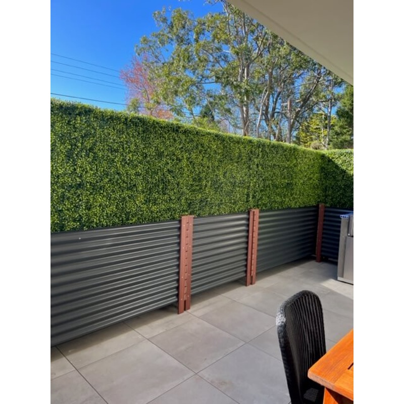 Buy Large Portable Mixed Boxwood Hedge 1.5m by 1.5m UV Resistant - MyDeal