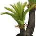 Multi Trunk Sago Cycad 130cm | Buy Artificial Plants & Flowers - 898686