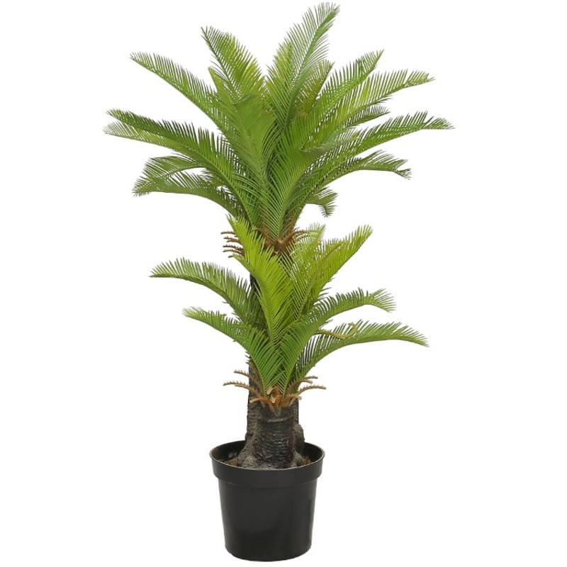 Buy Multi Trunk Sago Cycad 130cm - MyDeal