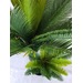 Multi Trunk Sago Cycad 130cm | Buy Artificial Plants & Flowers - 898686