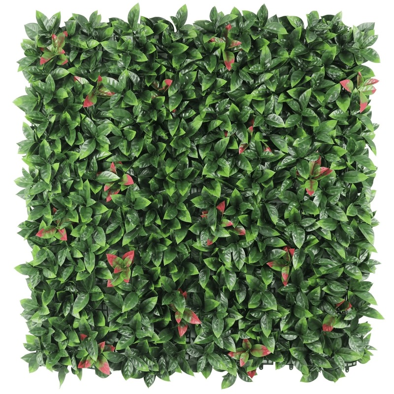 Buy Photinia (Red Robin) Hedge Leaf Screens / Panels UV Resistant 1m x ...