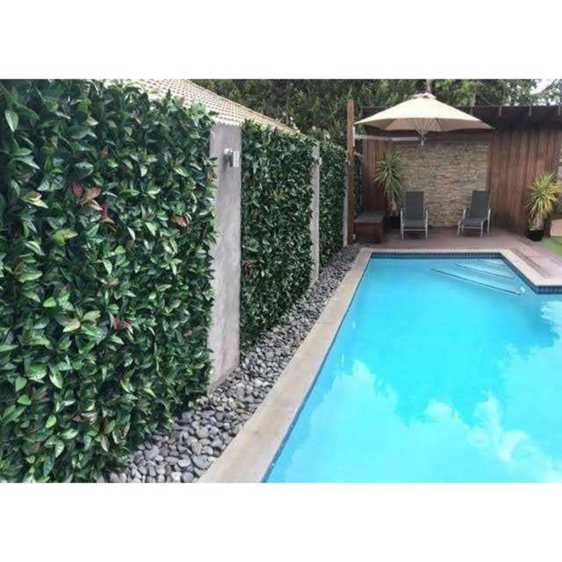 Buy Photinia (Red Robin) Hedge Leaf Screens / Panels UV Resistant 1m x ...