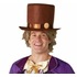 Buy Willy Wonka Wig for Adults - Charlie and the Chocolate Factory ...