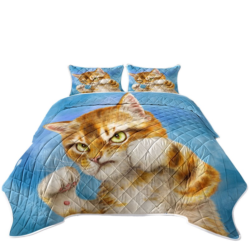Buy Cool Cat Designs the Fighter Kitten Coverlet - MyDeal