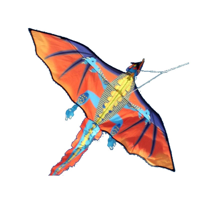 Buy Windspeed Single String Fire Dragon Kite - MyDeal