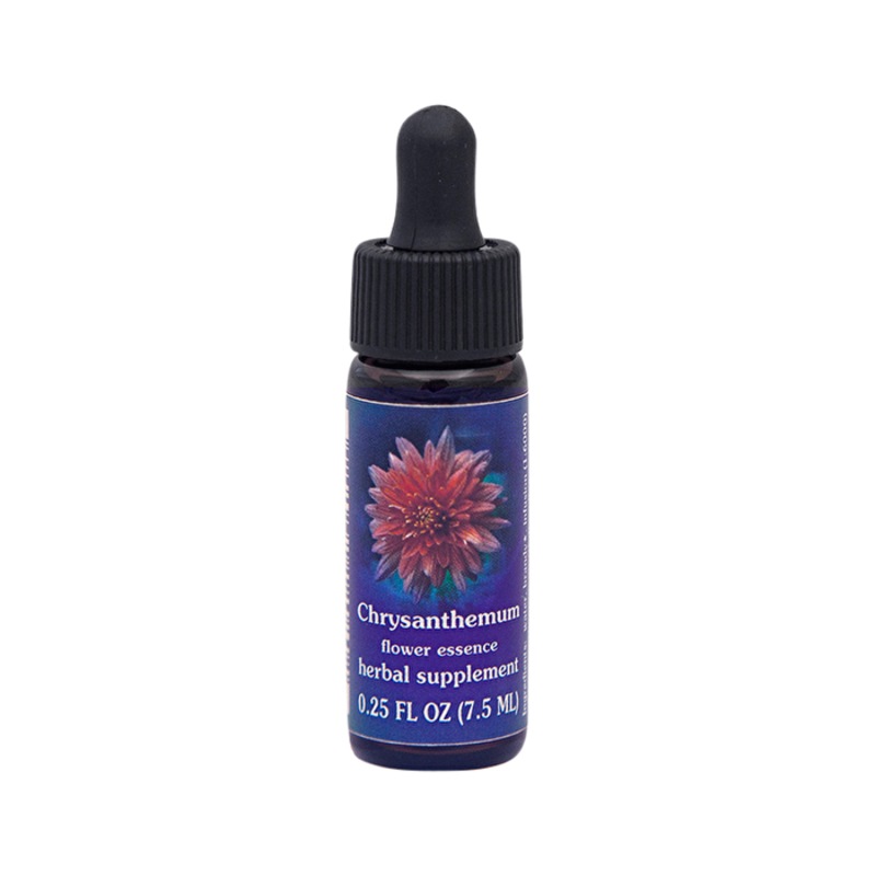 Buy Skincare Fes Flower Essences FES Organic Quintessentials Flower ...
