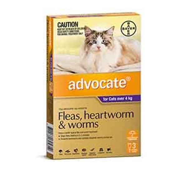 Buy Advocate Cat Bayer 4KG Plus Large Pack of 3 Purple - MyDeal Australia