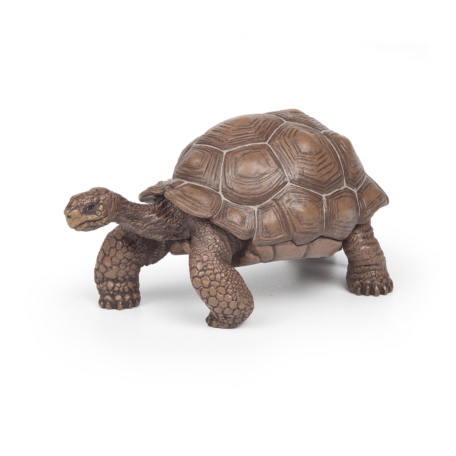 Buy Papo - Galöpagos tortoise Figurine - MyDeal Australia